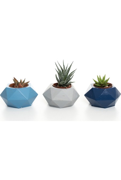 Oksu Kokulu Taş 3lü Set Açık Koyu Mavi Gri Prizma Kaktüs Sukulent Saksısı Oksu Kokulu Taş 3lü Set Açık Koyu Mavi Gri Prizma Kaktüs Sukulent Saksısı