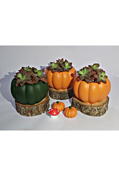 Oksu Kokulu Taş Mini Objelerle Birlikte Üçlü Kabak Kaktüs Sukulent Saksı Seti
