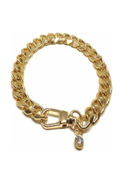 Pet Tag Art Dali's Kedi Köpek Kolyesi - Gold - Medium - 45 Cm. Pet Tag Art Dali's Kedi Köpek Kolyesi - Gold - Medium - 45 Cm.