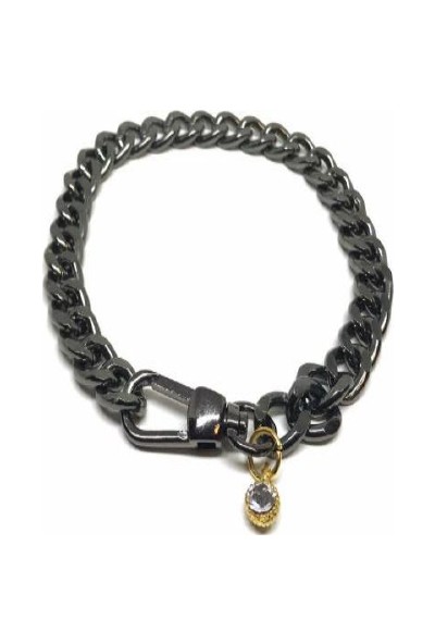 Pet Tag Art Dali's Kedi Köpek Kolyesi - Silver - Xlarge - 70 Cm.