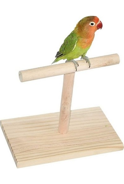 Alyones Ahşap Kuş Eğitim Standı