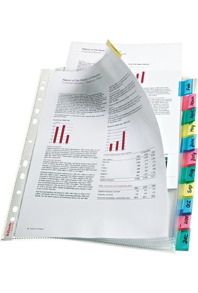 Esselte Poşet Dosya Ayraçlı 12 Li 414170