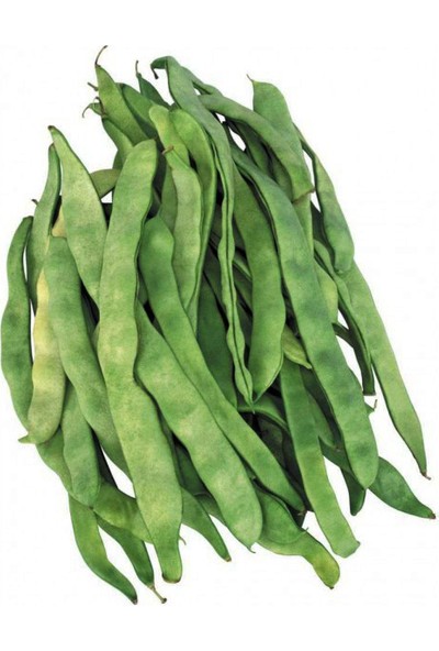 Ayşe Kadın Fasülye Tohumu 1 kg (2500+ Adet) Alman Ayşe Fasulye Tohumu Sırık Fasulye Tohumu Ayşe Kadın Fasülye Tohumu 1 kg (2500+ Adet) Alman Ayşe Fasulye Tohumu Sırık Fasulye Tohumu
