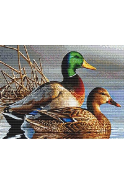 Movas Sanat Sonbaharda Ördekler Elmas Mozaik Tablo Mozaik Puzzle 50 x 40cm E2020-1560-M Movas Sanat Sonbaharda Ördekler Elmas Mozaik Tablo Mozaik Puzzle 50 x 40cm E2020-1560-M