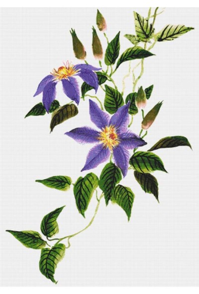 Movas Sanat Çin Resim Sanatı Mavi Yabanasması Elmas Mozaik Tablo Mozaik Puzzle 40 x 56cm E2020928M Movas Sanat Çin Resim Sanatı Mavi Yabanasması Elmas Mozaik Tablo Mozaik Puzzle 40 x 56cm E2020928M