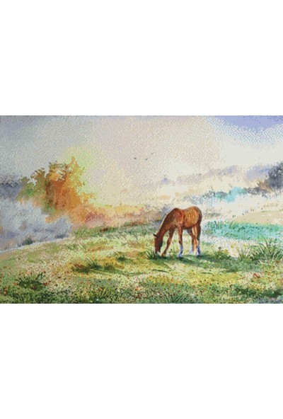 Movas Sanat Gün Batımında Kahvrengi Bir At Elmas Mozaik Tablo Mozaik Puzzle 50 x 33cm E20201113M Movas Sanat Gün Batımında Kahvrengi Bir At Elmas Mozaik Tablo Mozaik Puzzle 50 x 33cm E20201113M