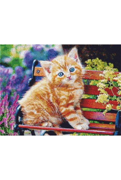 Movas Sanat Bank'ta Sarı Bir Yavru Kedi Elmas Mozaik Tablo Mozaik Puzzle 55 x 40cm E2020-1335-M Movas Sanat Bank'ta Sarı Bir Yavru Kedi Elmas Mozaik Tablo Mozaik Puzzle 55 x 40cm E2020-1335-M