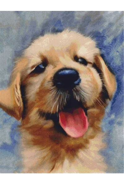 Movas Sanat Yavru Bir Köpek Elmas Mozaik Tablo Mozaik Puzzle 40 x 50cm E20201747M Movas Sanat Yavru Bir Köpek Elmas Mozaik Tablo Mozaik Puzzle 40 x 50cm E20201747M