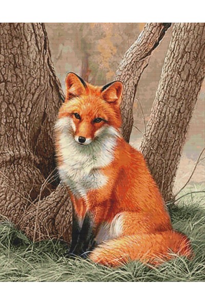 Movas Sanat Yakışıklı Tilki Elmas Mozaik Tablo Mozaik Puzzle 42 x 53cm E2020341 Movas Sanat Yakışıklı Tilki Elmas Mozaik Tablo Mozaik Puzzle 42 x 53cm E2020341