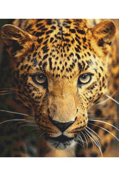 Movas Sanat Av Peşinde Bir Leopar Elmas Mozaik Tablo Mozaik Puzzle 45 x 52cm E2020718