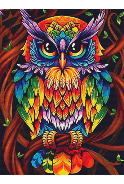 Movas Sanat Renkli Baykuş Elmas Mozaik Tablo Mozaik Puzzle 36 x 48cm E2020340 Movas Sanat Renkli Baykuş Elmas Mozaik Tablo Mozaik Puzzle 36 x 48cm E2020340
