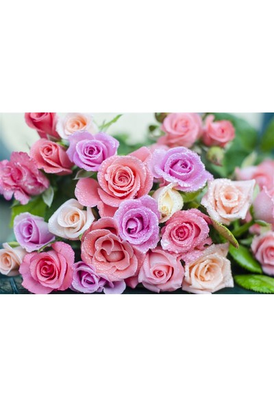 Movas Sanat Soğuk Yağmur Damlaları ve Güller Elmas Mozaik Tablo Mozaik Puzzle 50 x 33cm E2020486 Movas Sanat Soğuk Yağmur Damlaları ve Güller Elmas Mozaik Tablo Mozaik Puzzle 50 x 33cm E2020486