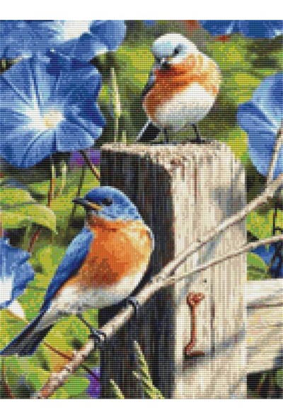 Movas Sanat Kuşlar ve Mavi Kır Çiçekleri Elmas Mozaik Tablo Mozaik Puzzle 35 x 50cm E20201244M