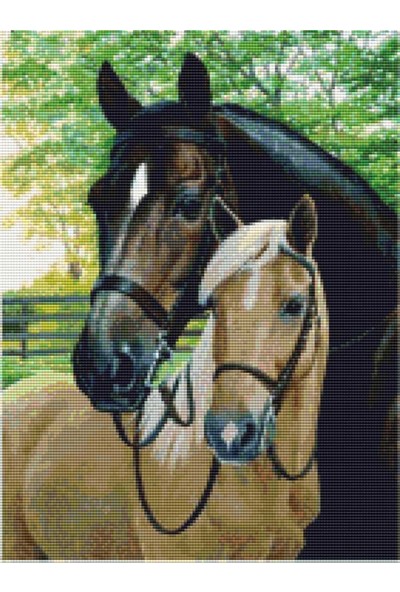 Movas Sanat At ve Yavrusu Elmas Mozaik Tablo Mozaik Puzzle 35 x 50cm E20201247M