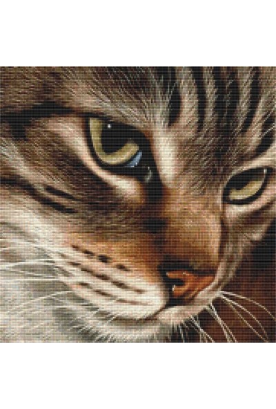 Movas Sanat Tatlı Bir Yavru Kedi Elmas Mozaik Tablo Mozaik Puzzle 45 x 45cm E20201291M Movas Sanat Tatlı Bir Yavru Kedi Elmas Mozaik Tablo Mozaik Puzzle 45 x 45cm E20201291M