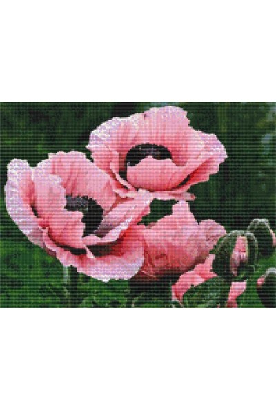 Movas Sanat Pembe Gelincikler Elmas Mozaik Tablo Mozaik Puzzle 50 x 40cm E2020-1578-M Movas Sanat Pembe Gelincikler Elmas Mozaik Tablo Mozaik Puzzle 50 x 40cm E2020-1578-M