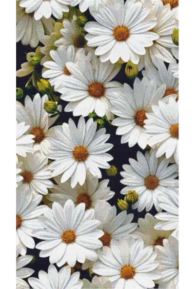 Movas Sanat Baharda Açan Papatyalar Elmas Mozaik Tablo Mozaik Puzzle 30 x 50cm E2020-1675-M Movas Sanat Baharda Açan Papatyalar Elmas Mozaik Tablo Mozaik Puzzle 30 x 50cm E2020-1675-M