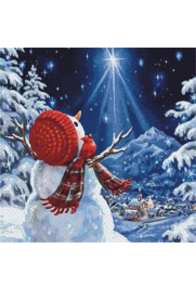 Movas Sanat Dilek Tutan Bir Kar'dan Adam Elmas Mozaik Tablo Mozaik Puzzle 45 x 45cm E20201302M