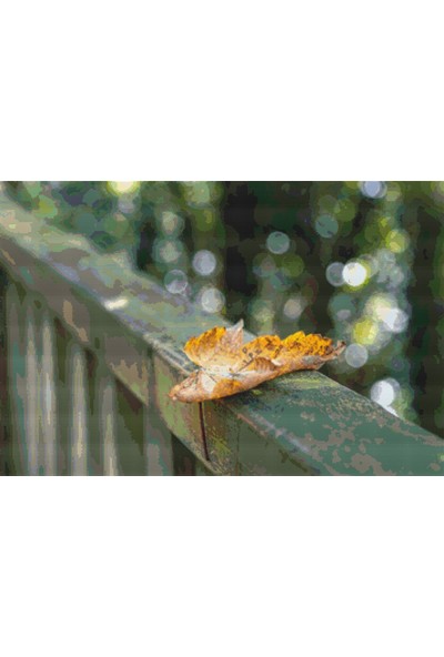 Movas Sanat Sonbaharın Dökülen İlk Yaprakları Elmas Mozaik Tablo Mozaik Puzzle 50 x 33cm E2020508 Movas Sanat Sonbaharın Dökülen İlk Yaprakları Elmas Mozaik Tablo Mozaik Puzzle 50 x 33cm E2020508