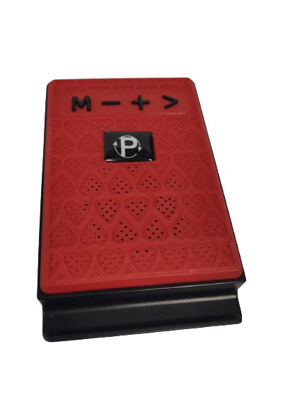 Platoon PL-4028 Telefon Standlı Sd/usb/ Bluethooth Speaker Platoon PL-4028 Telefon Standlı Sd/usb/ Bluethooth Speaker