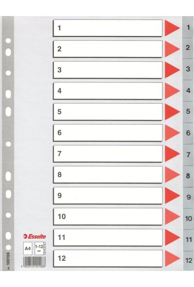 Esselte Seperatör 1-12 Rakamlı Plastik A4 100106