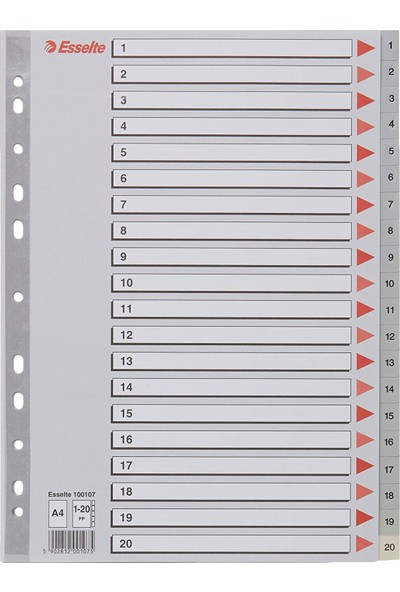 Esselte Seperatör 1-20 Rakamlı Plastik A4 100107