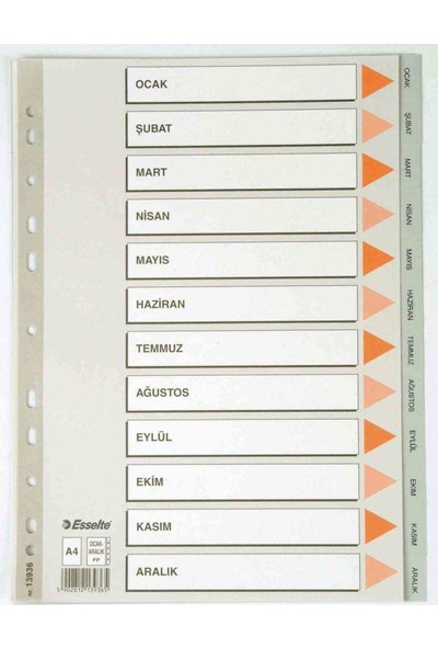 Esselte Seperatör Aylar Plastik A4 13936 Esselte Seperatör Aylar Plastik A4 13936