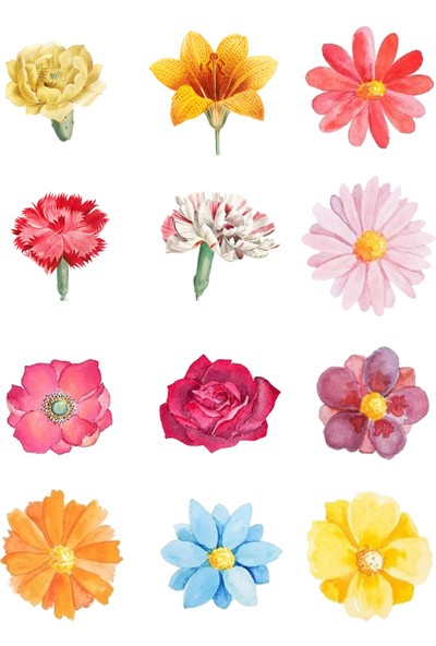 Tellgraf Çiçekli Yuvarlak Sticker