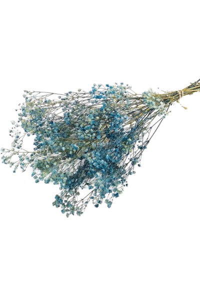 Nettenevime Kuru Çiçek Doğal Mavi Cipso 22GRAM 1. Kalite Şoklanmış Bozulmaz Nettenevime Kuru Çiçek Doğal Mavi Cipso 22GRAM 1. Kalite Şoklanmış Bozulmaz