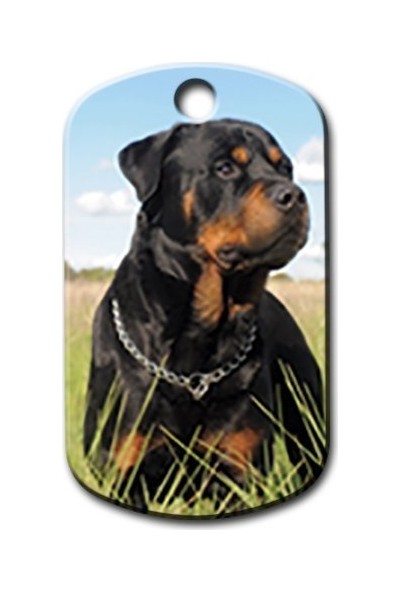 Pet Tag Art Rottweiler Resimli Köpek Künyesi Small Pet Tag Art Rottweiler Resimli Köpek Künyesi Small