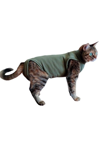 Stylie Kedi Ameliyat Sonrası Giysisi Stylie Kedi Ameliyat Sonrası Giysisi