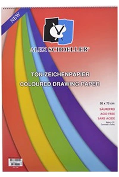 Alex Schoeller Karışık Renkli Fon Kartonu 120 gr 35 x 50 cm 10'lu Alex Schoeller Karışık Renkli Fon Kartonu 120 gr 35 x 50 cm 10'lu