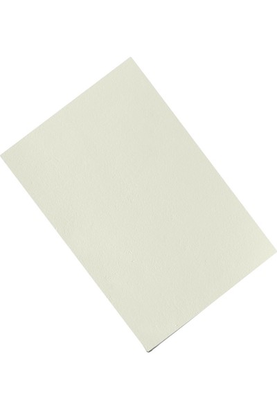 Alex Schoeller Teknik Resim Kağıdı 200 gr 50 x 70 cm 5'li