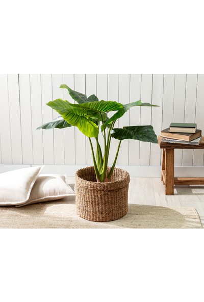 Madame Coco Basilie Orta Hasır Sepet - 40x28 cm Madame Coco Basilie Orta Hasır Sepet - 40x28 cm