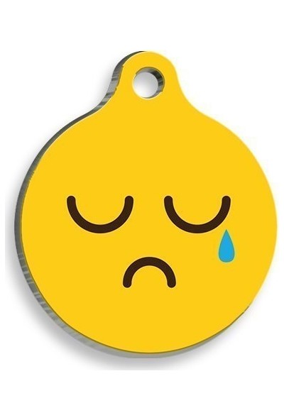 Pet Tag Art Üzgün Yuvarlak Kedi ve Köpek Künyesi