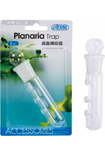 Ista Planaria Tuzağı