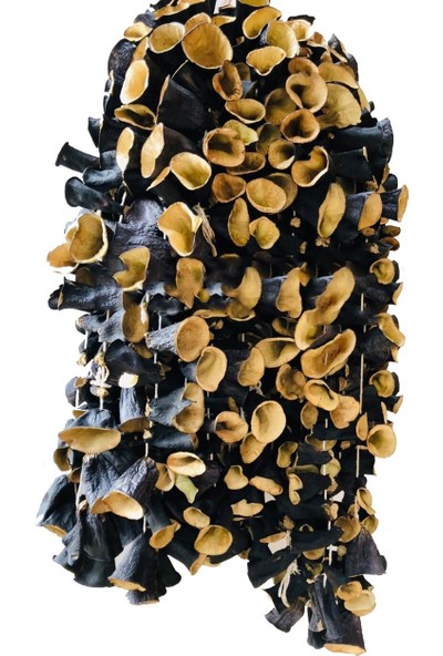 Simiorganik 1. Sınıf Kuru Patlıcan 50 Adet