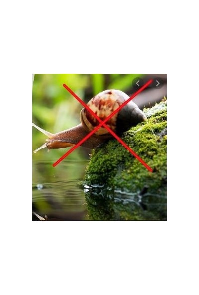 Cegel Ziraat Salyangoz, Sümüklü Böcek Pelet Yemi 250 Gram Cegel Ziraat Salyangoz, Sümüklü Böcek Pelet Yemi 250 Gram