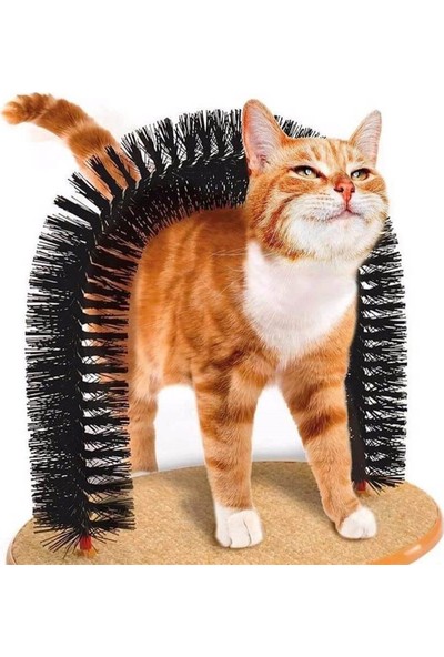 Pet Zoom Kedi Kaşıma Oyuncağı Pet Zoom Kedi Kaşıma Oyuncağı