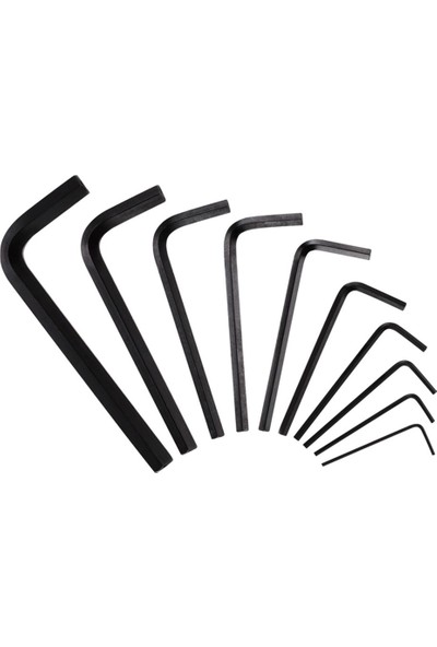 Pembe Karınca 10'lu Anahtarlıklı Alyan Seti Siyah