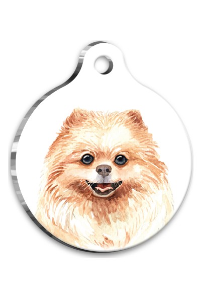Pet Tag Art Suluboya Pomeranian Yuvarlak Köpek Künyesi