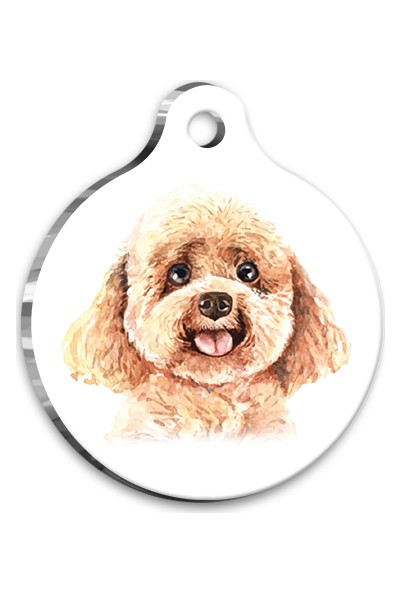 Pet Tag Art Suluboya Toy Poodle Yuvarlak Köpek Künyesi