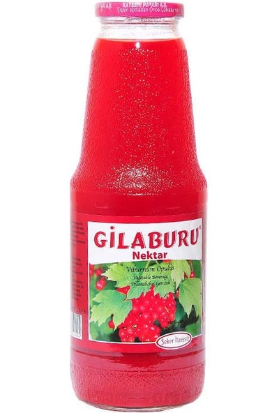 Kayseri Pazarı Gilaburu Nektar 1 Lt