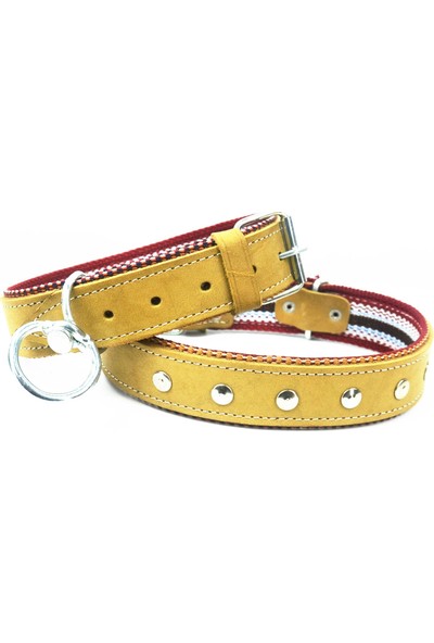 Bayz 70 cm Büyük Köpek Tasması Sağlam Kangal, Pitbull, Golden, Labrador, Sibirya, Kurt, Bulldog, Rottweiler, Doberman, Deri Çift Kalınlık Bayz 70 cm Büyük Köpek Tasması Sağlam Kangal, Pitbull, Golden, Labrador, Sibirya, Kurt, Bulldog, Rottweiler, Doberman, Deri Çift Kalınlık