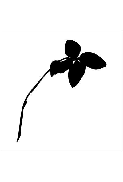 Technopa Ağaç Ve Gül Resimleri 34 80 cm Uzunluk