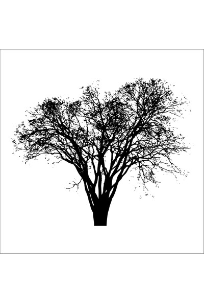 Technopa Ağaç Ve Gül Resimleri 19 200 cm Uzunluk