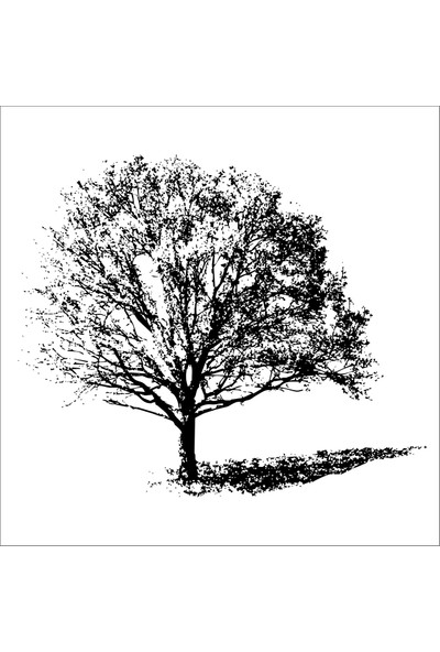 Technopa Ağaç Ve Gül Resimleri 6 30 cm Uzunluk