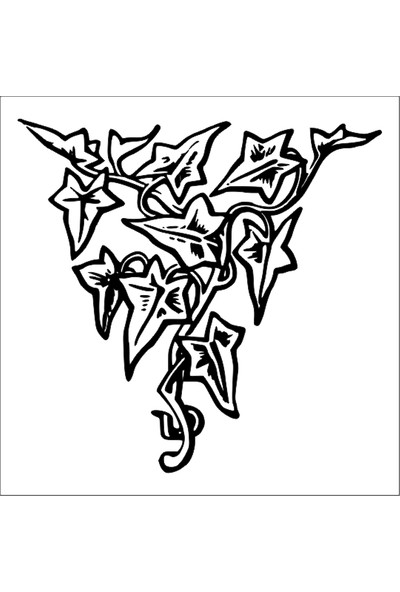 Technopa Ağaç Ve Gül Resimleri 59 40 cm Uzunluk