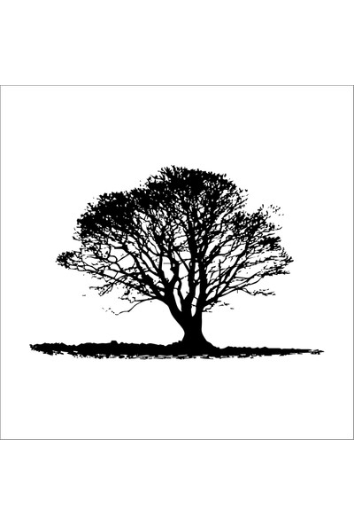 Technopa Ağaç Ve Gül Resimleri 10 90 cm Uzunluk