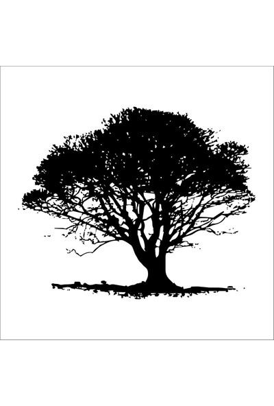 Technopa Ağaç Ve Gül Resimleri 13 60 cm Uzunluk